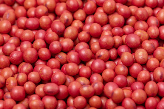 Seed Treatments - Polansky Seed